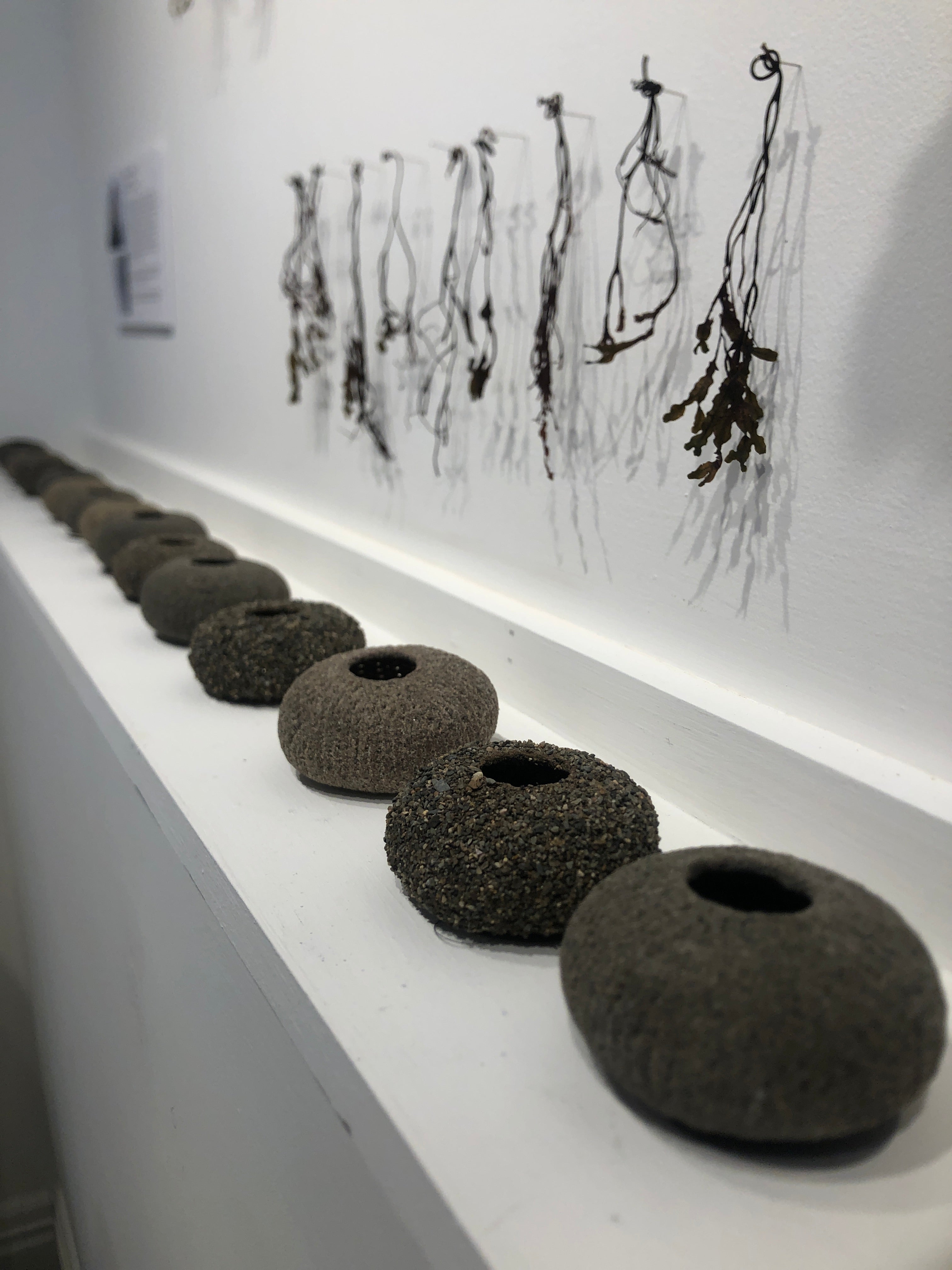 Jane Whitten – LaurieSwimGallery